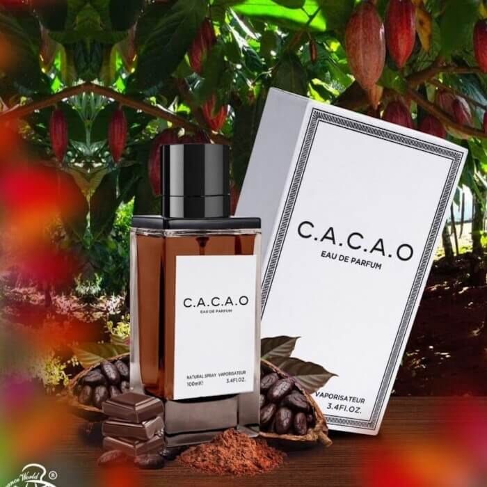 Fragrance World Brone Pour Homme EDP 90ml -Best designer perfumes ...