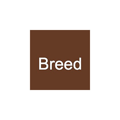 Breed -Best designer perfumes online sales in Nigeria: Fragrances.com.ng